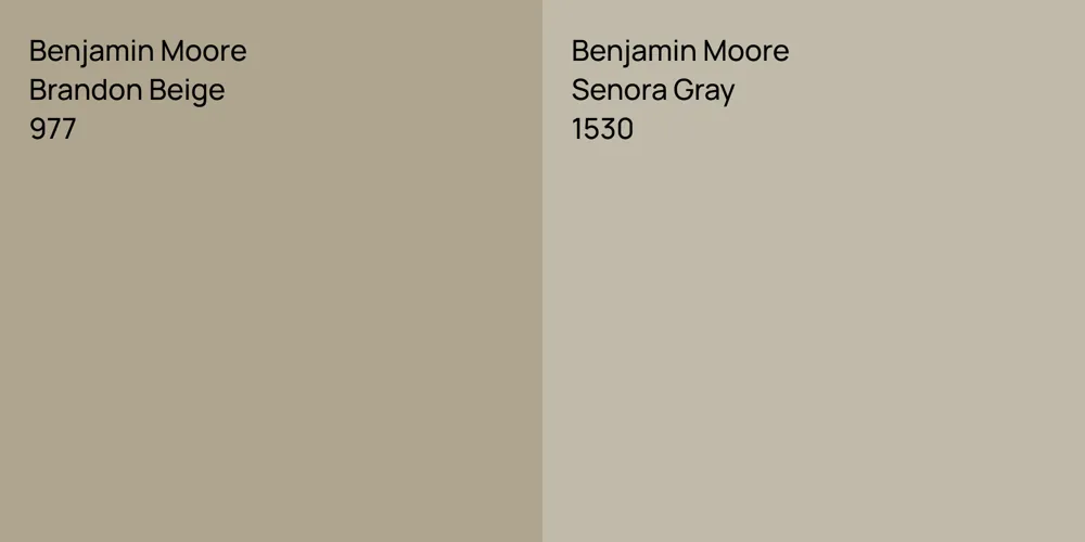 Benjamin Moore Brandon Beige vs. Benjamin Moore Senora Gray comparison