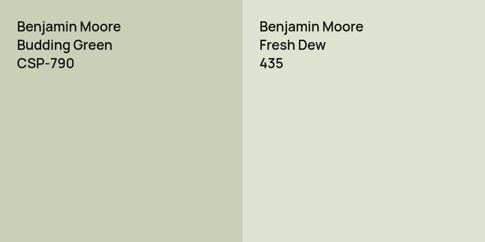 Benjamin Moore Budding Green vs. Benjamin Moore Fresh Dew comparison