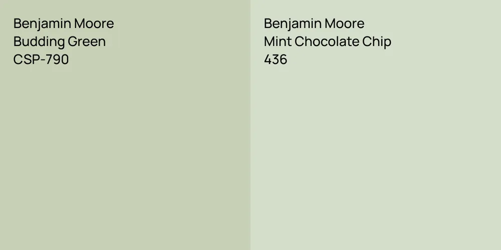 Benjamin Moore Budding Green vs. Benjamin Moore Mint Chocolate Chip ...