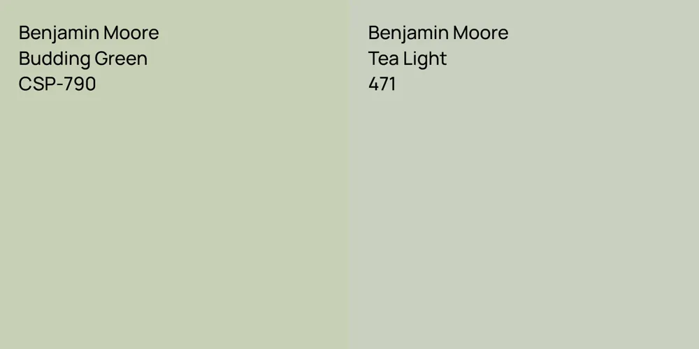 Benjamin Moore Budding Green vs. Benjamin Moore Tea Light comparison