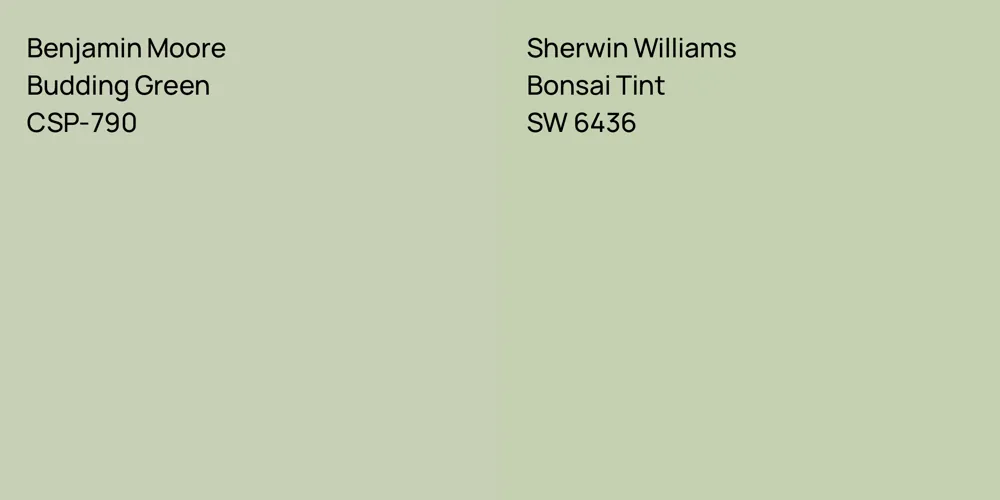 Benjamin Moore Budding Green vs. Sherwin Williams Bonsai Tint comparison