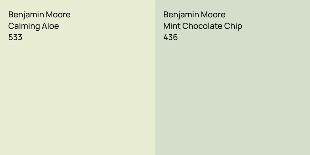Benjamin Moore Calming Aloe vs. Benjamin Moore Mint Chocolate Chip ...