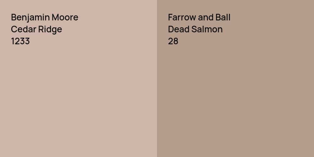 Benjamin Moore Cedar Ridge vs. Farrow and Ball Dead Salmon comparison