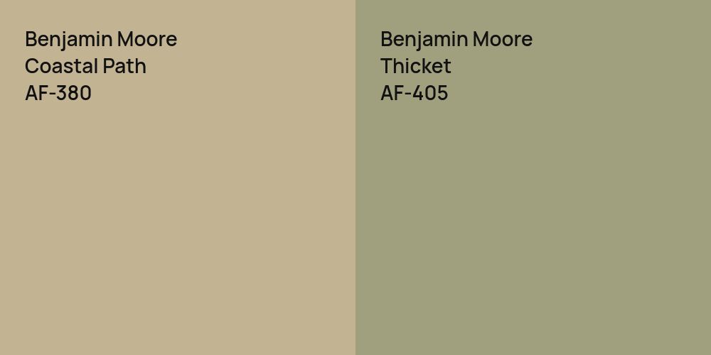 Benjamin Moore Coastal Path vs. Benjamin Moore Thicket comparison