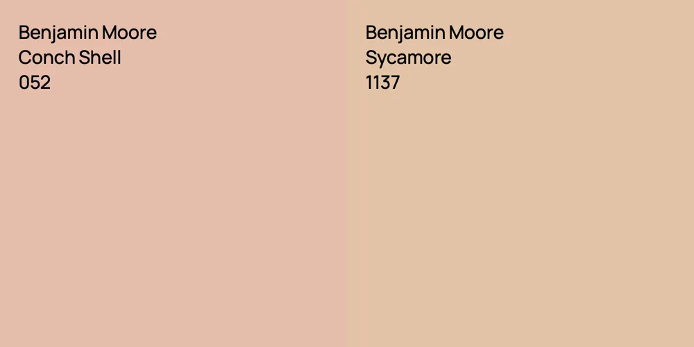 Benjamin Moore Conch Shell vs. Benjamin Moore Sycamore comparison