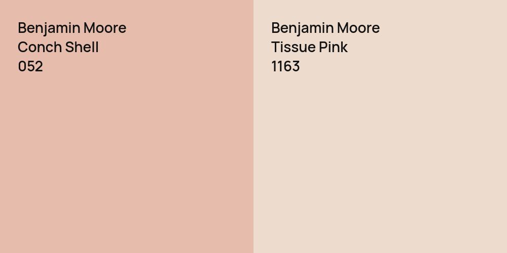 Benjamin Moore Conch Shell vs. Benjamin Moore Tissue Pink comparison
