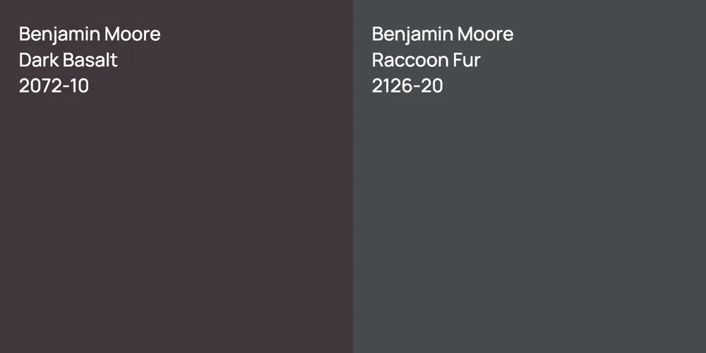 Benjamin Moore Dark Basalt vs. Benjamin Moore Raccoon Fur comparison