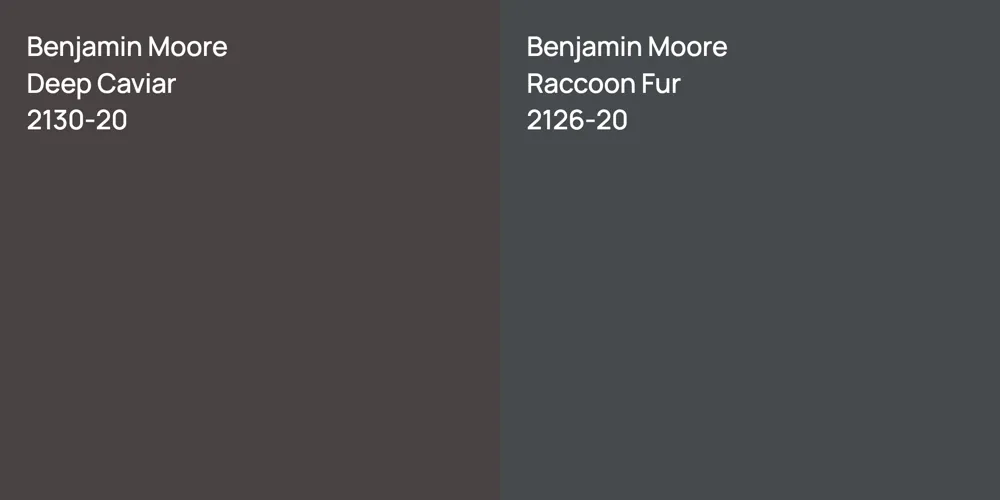 Benjamin Moore Deep Caviar vs. Benjamin Moore Raccoon Fur comparison