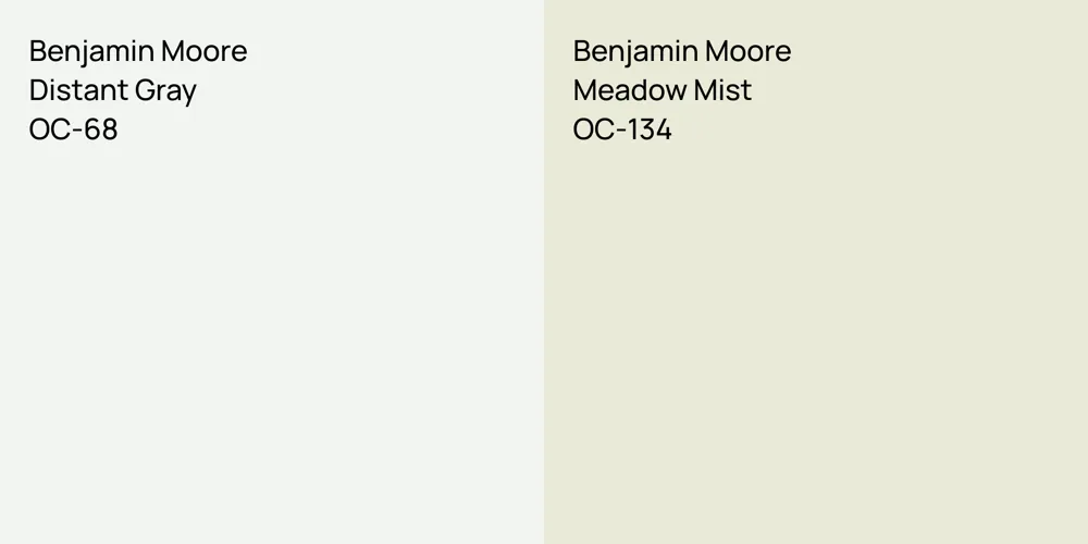 Benjamin Moore Distant Gray vs. Benjamin Moore Meadow Mist comparison