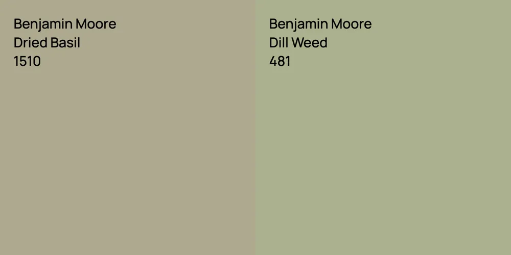 Benjamin Moore Dried Basil vs. Benjamin Moore Dill Weed comparison