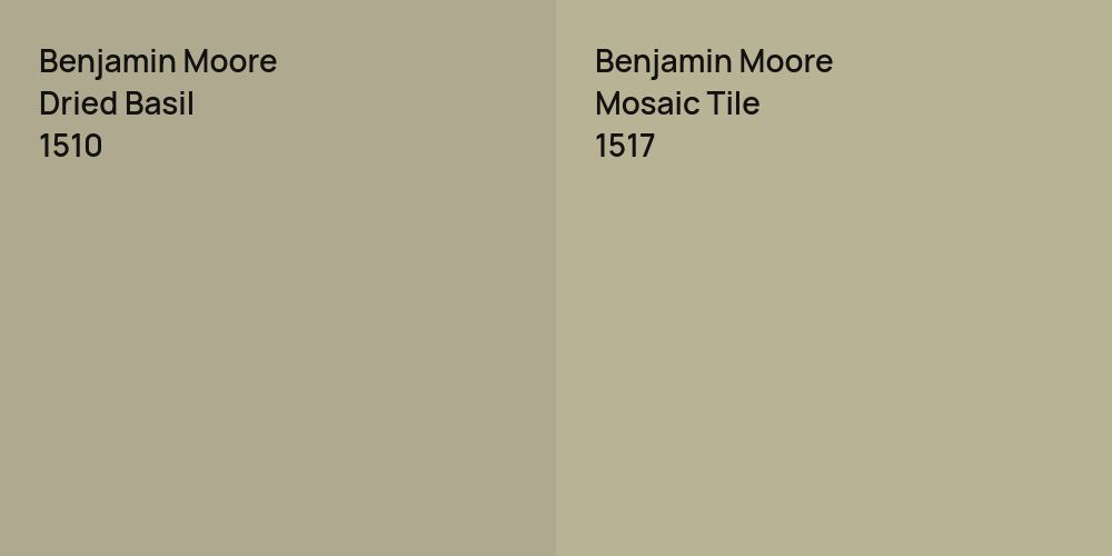 Benjamin Moore Dried Basil vs. Benjamin Moore Mosaic Tile comparison