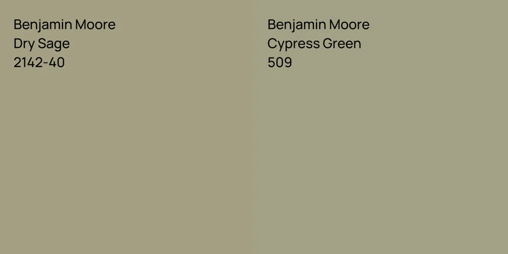 Benjamin Moore Dry Sage vs. Benjamin Moore Cypress Green comparison