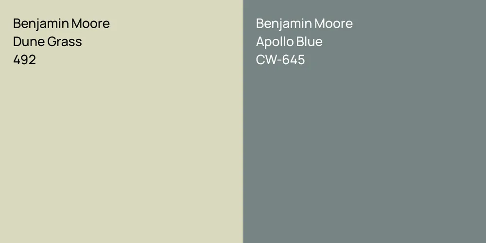 Benjamin Moore Dune Grass vs. Benjamin Moore Apollo Blue comparison