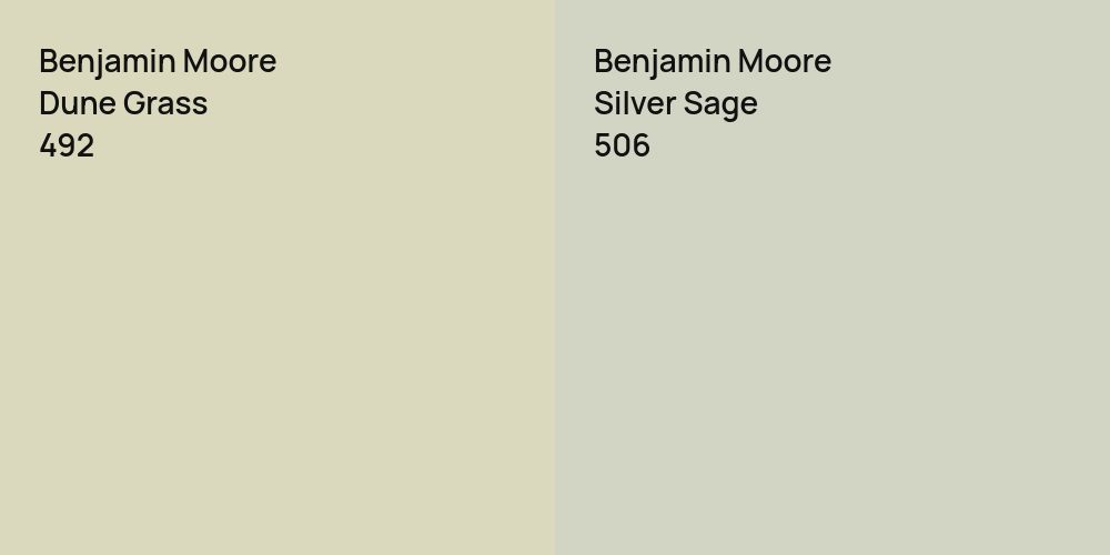 Benjamin Moore Dune Grass vs. Benjamin Moore Silver Sage comparison