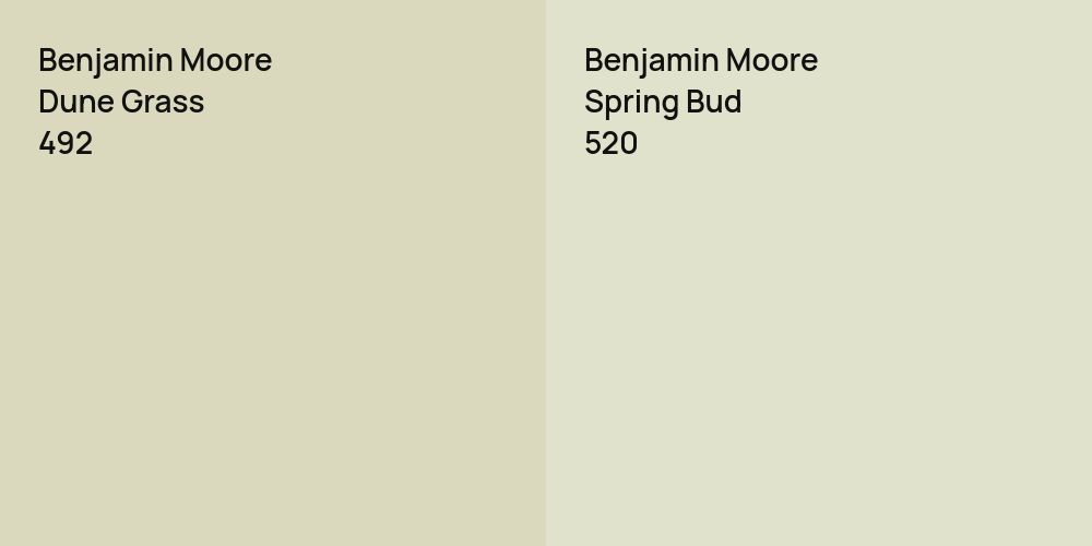 Benjamin Moore Dune Grass vs. Benjamin Moore Spring Bud comparison