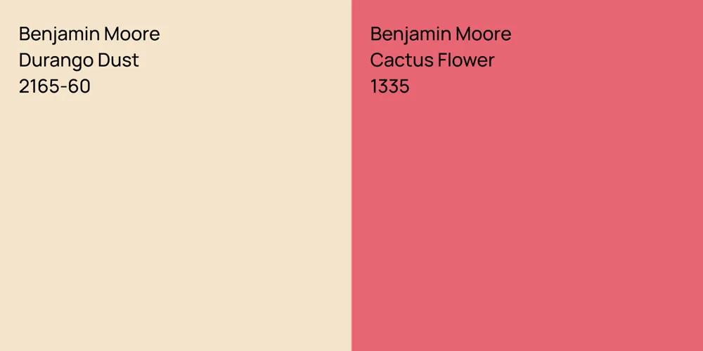 Benjamin Moore Durango Dust vs. Benjamin Moore Cactus Flower comparison