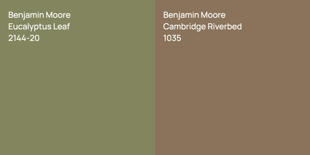 Benjamin Moore Eucalyptus Leaf vs. Benjamin Moore Cambridge Riverbed ...