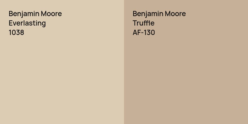 Benjamin Moore Everlasting vs. Benjamin Moore Truffle comparison