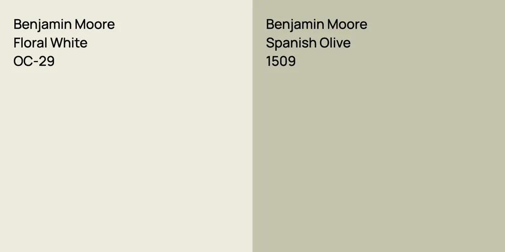 Benjamin Moore Floral White vs. Benjamin Moore Spanish Olive comparison