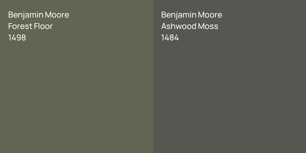 Benjamin Moore Forest Floor vs. Benjamin Moore Ashwood Moss comparison