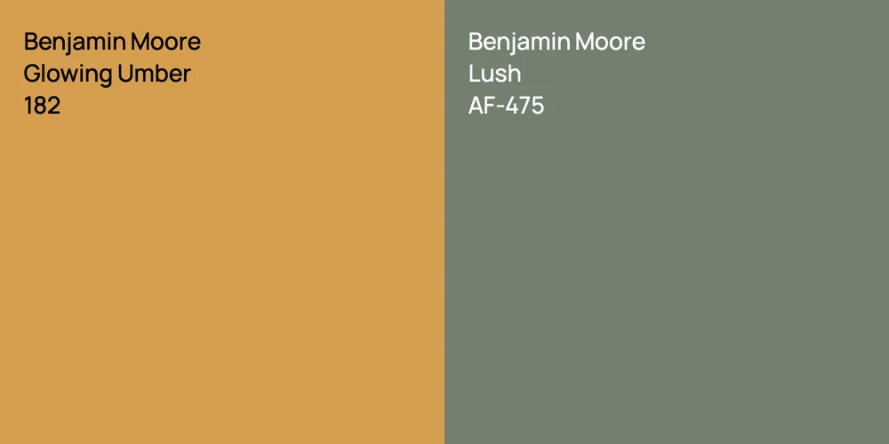 Benjamin Moore Glowing Umber vs. Benjamin Moore Lush comparison