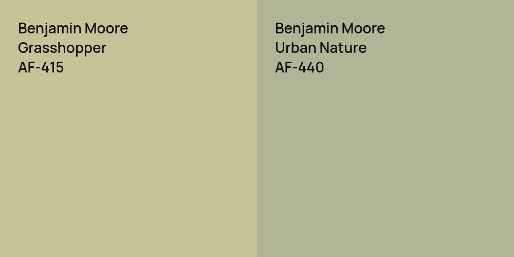 Benjamin Moore Grasshopper vs. Benjamin Moore Urban Nature comparison