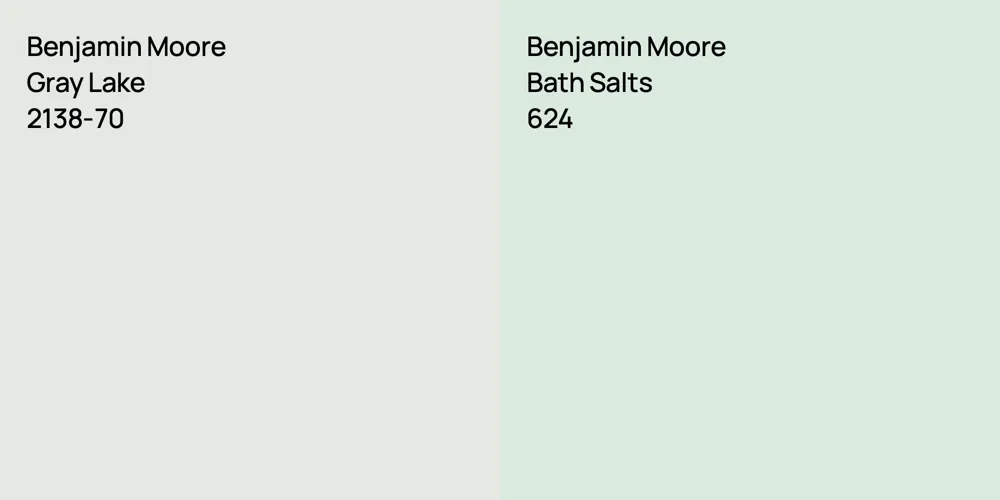 Benjamin Moore Gray Lake vs. Benjamin Moore Bath Salts comparison