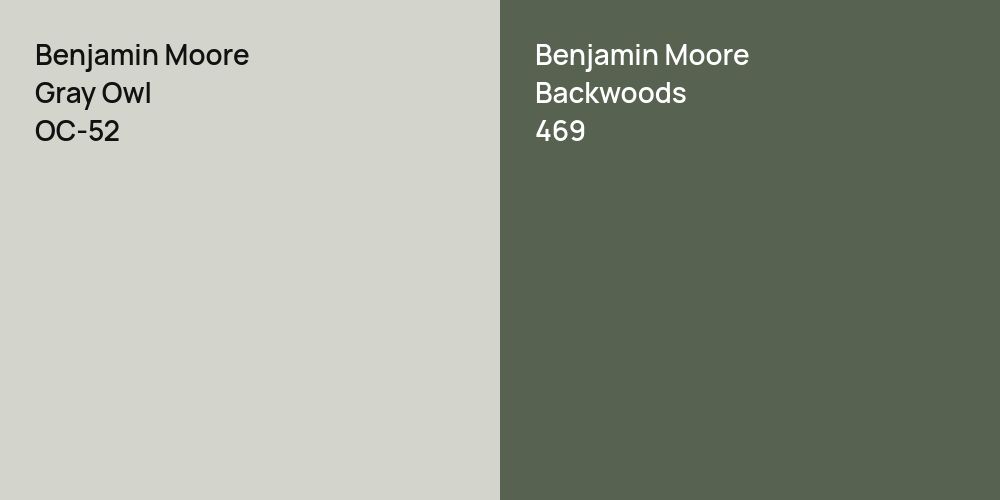 Benjamin Moore Gray Owl vs. Benjamin Moore Backwoods comparison