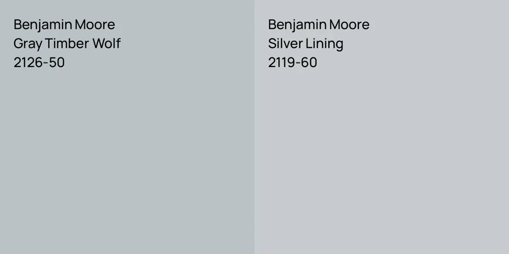 Benjamin Moore Gray Timber Wolf vs. Benjamin Moore Silver Lining comparison