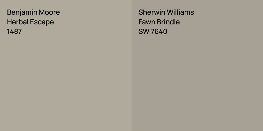 Benjamin Moore Herbal Escape vs. Sherwin Williams Fawn Brindle comparison
