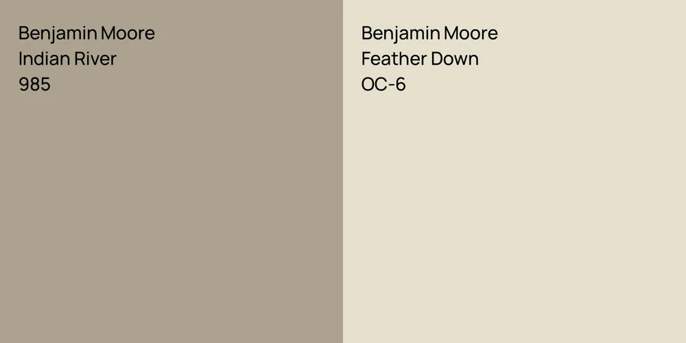 Benjamin Moore Indian River vs. Benjamin Moore Feather Down comparison