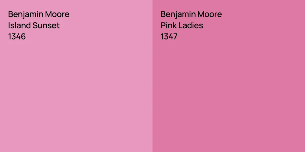 Benjamin Moore Island Sunset vs. Benjamin Moore Pink Ladies comparison