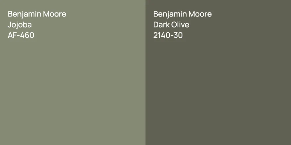 Benjamin Moore Jojoba vs. Benjamin Moore Dark Olive comparison