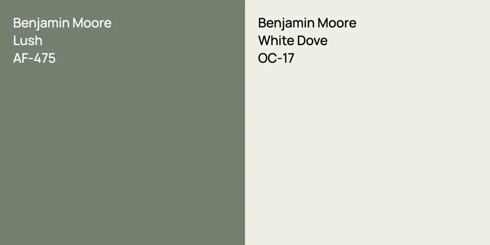 Benjamin Moore Lush vs. Benjamin Moore White Dove comparison