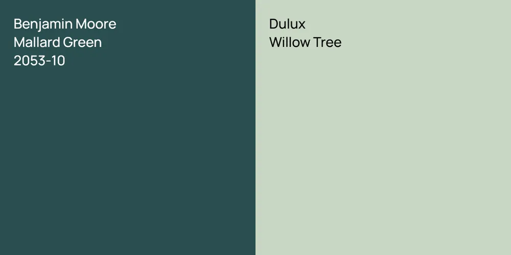 Benjamin Moore Mallard Green vs. Dulux Willow Tree comparison
