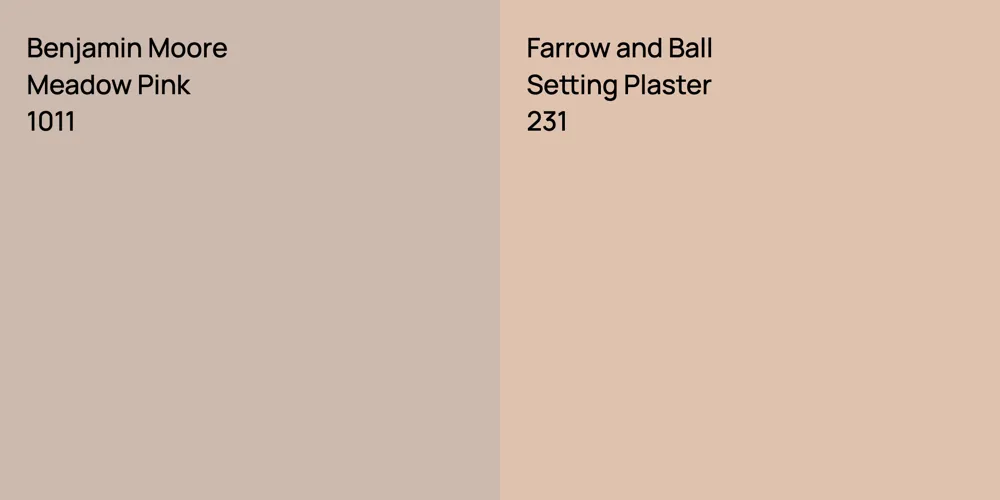 Benjamin Moore Meadow Pink vs. Farrow and Ball Setting Plaster comparison