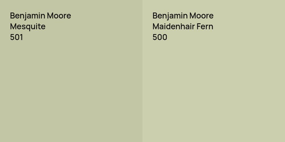 Benjamin Moore Mesquite vs. Benjamin Moore Maidenhair Fern comparison