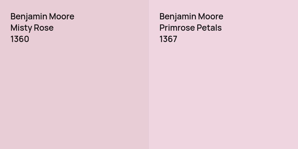 Benjamin Moore Misty Rose vs. Benjamin Moore Primrose Petals comparison