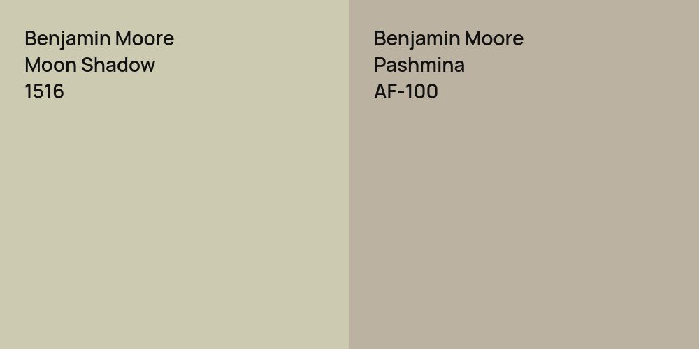 Benjamin Moore Moon Shadow vs. Benjamin Moore Pashmina comparison