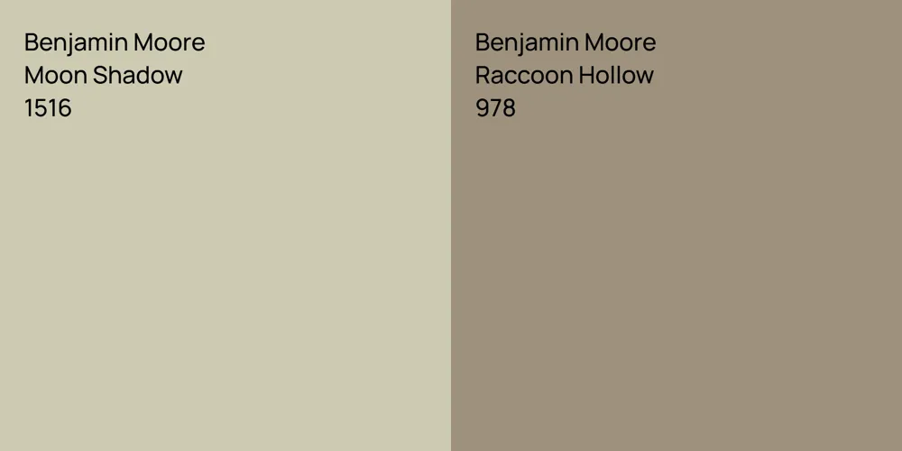 Benjamin Moore Moon Shadow vs. Benjamin Moore Raccoon Hollow comparison