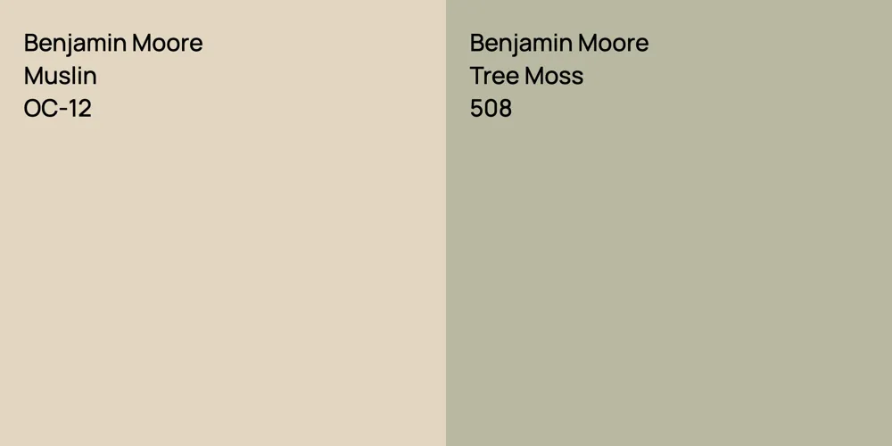 Benjamin Moore Muslin vs. Benjamin Moore Tree Moss comparison