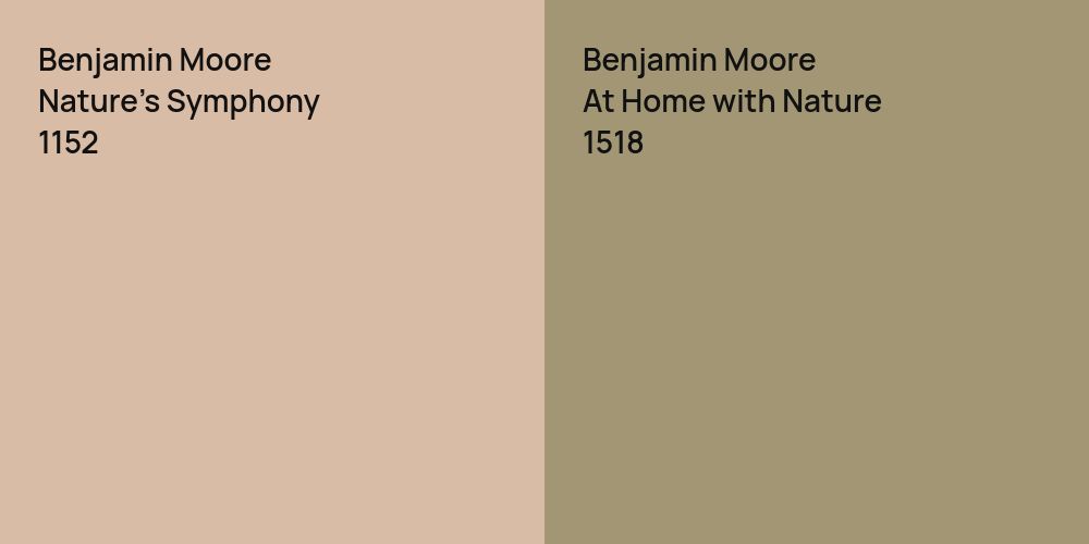 Benjamin Moore Nature's Symphony vs. Benjamin Moore At Home with Nature ...