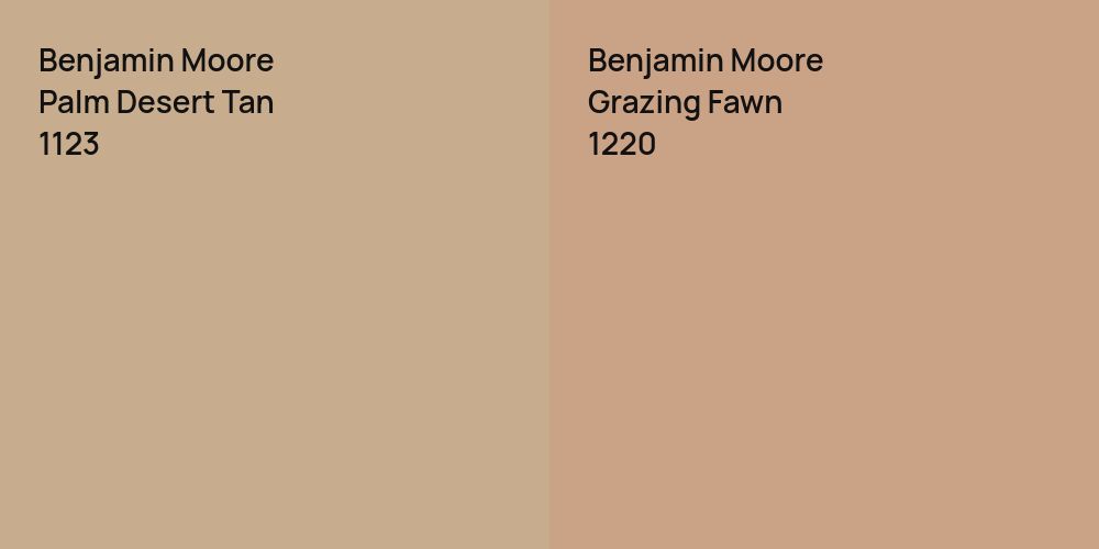 Benjamin Moore Palm Desert Tan vs. Benjamin Moore Grazing Fawn comparison