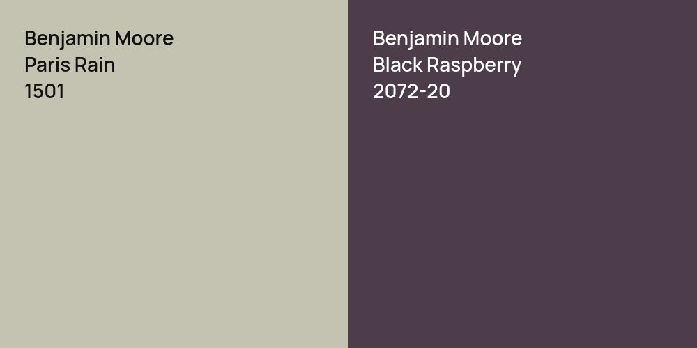 Benjamin Moore Paris Rain vs. Benjamin Moore Black Raspberry comparison