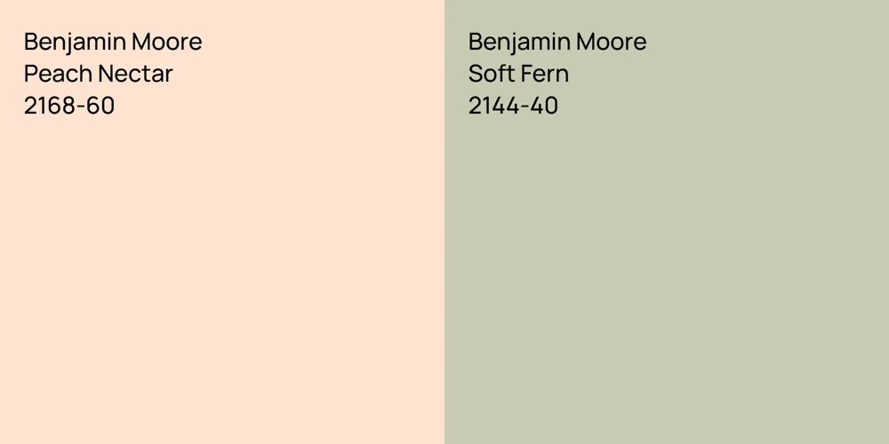 Benjamin Moore Peach Nectar vs. Benjamin Moore Soft Fern comparison