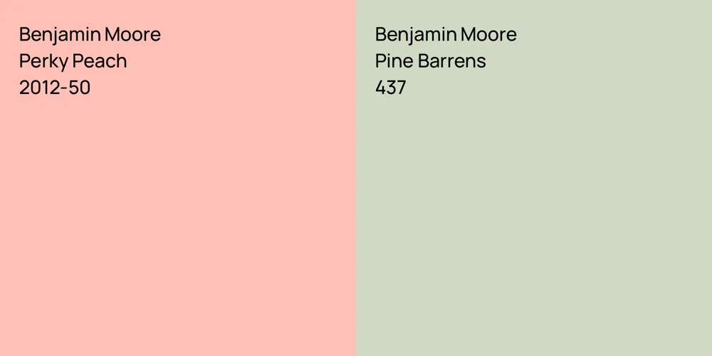 Benjamin Moore Perky Peach vs. Benjamin Moore Pine Barrens comparison