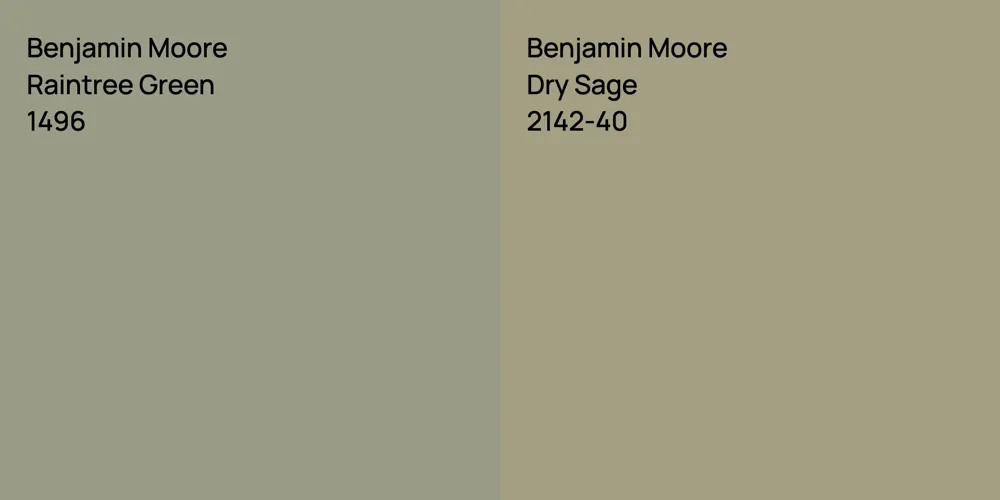 Benjamin Moore Raintree Green vs. Benjamin Moore Dry Sage comparison