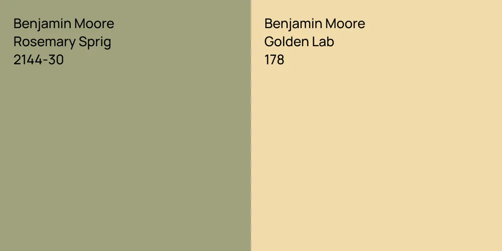 Benjamin Moore Rosemary Sprig vs. Benjamin Moore Golden Lab comparison