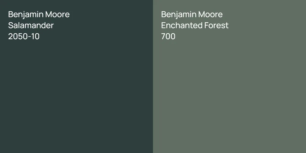 Benjamin Moore Salamander vs. Benjamin Moore Enchanted Forest comparison