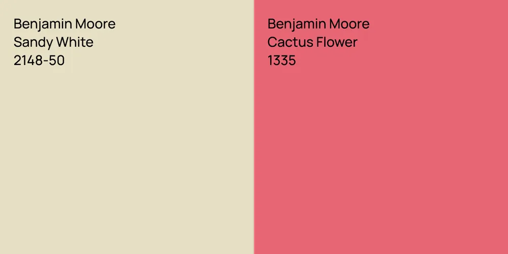 Benjamin Moore Sandy White vs. Benjamin Moore Cactus Flower comparison